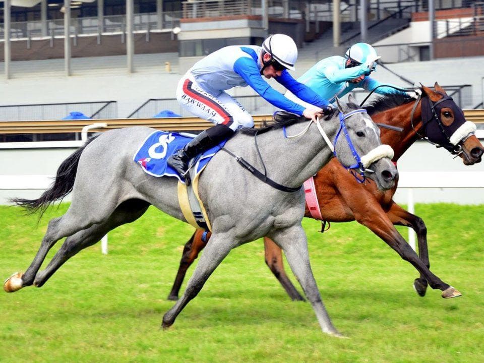 Weekend runners, 1-3 August