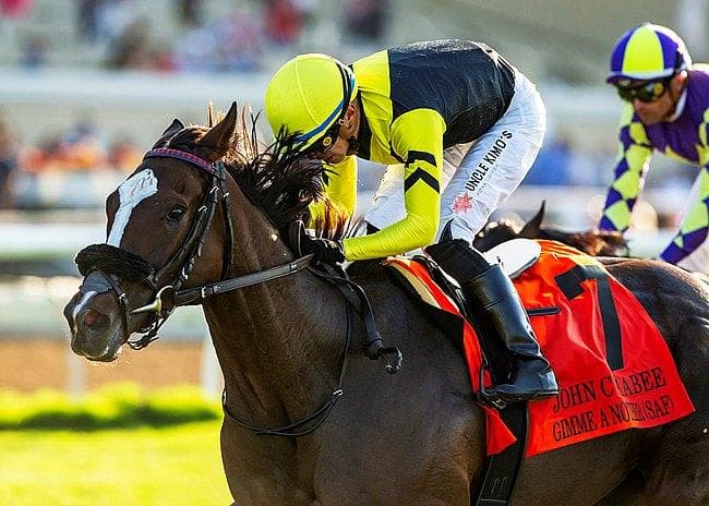 A great international feat for Nother Russia; Wilgerbosdrift/Mauritzfontein